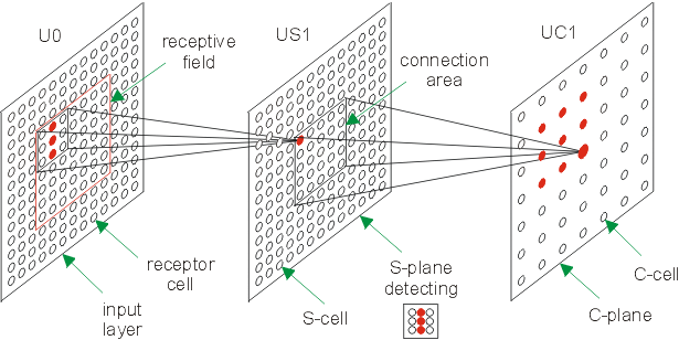 Convolutional Neural Networks and Neocognitron: Advancing Image ...
