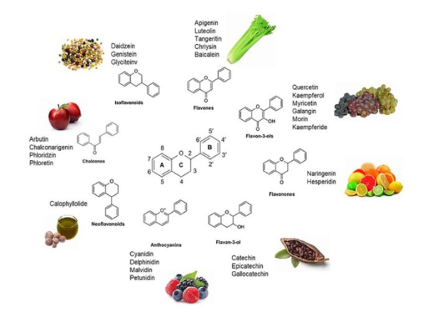 Know Your Diet — Make sure it contains foods rich in polyphenols, e.g ...