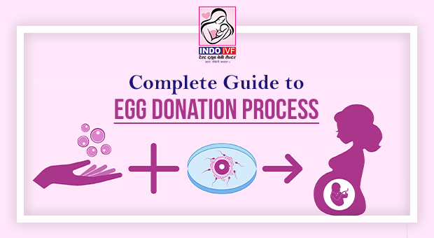 Complete Guide To The Egg Donation Process for Fertility Treatment ...