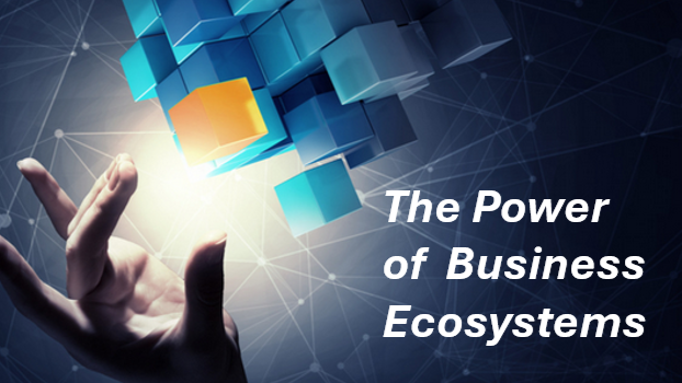 The Business Ecosystem Building Blocks | by Paul Hobcraft | Medium