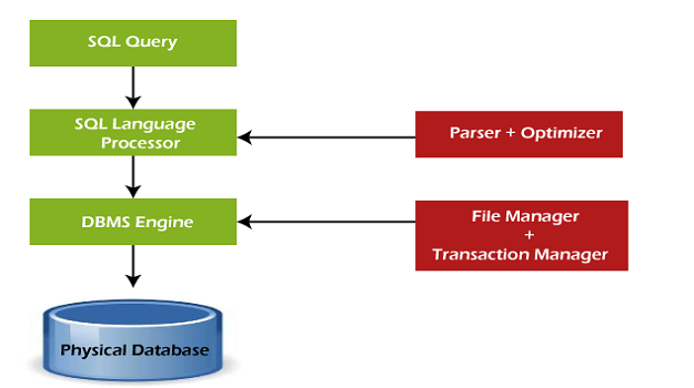 SQL Tutorial for Beginners: Mastering the Language of Databases | by IT ...