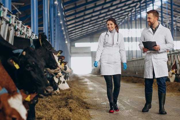 Mastering Dairy Efficiency: Unveiling the Ultimate Guide to Milk ...