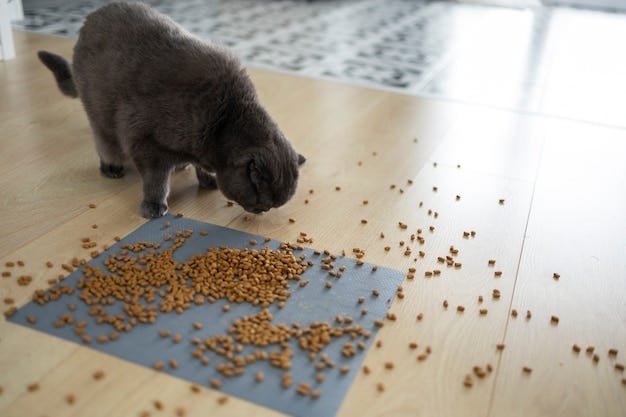 Nourishing Your Feline Friend: A Closer Look at Open Farm Cat Food | by ...