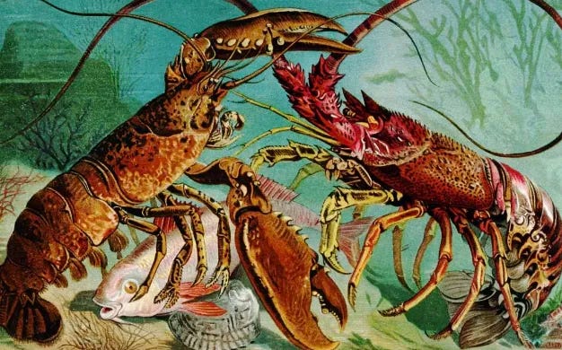 《人生十二法则》｜昂首挺胸，拥抱人生的重担. 加拿大心理学教授Jordan… | by Xue Xia | Medium