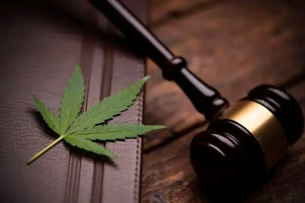 From Prohibition to Present: The Evolution of Cannabis Legislation and ...