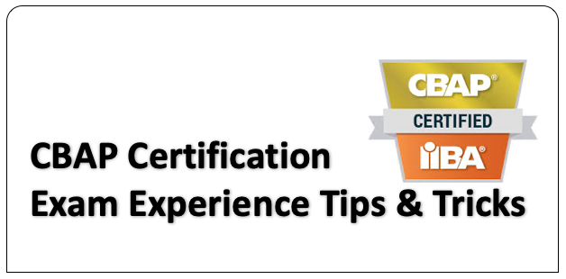 Certified Business Analysis Professional™ (CBAP ®) Prep Guide | by ...