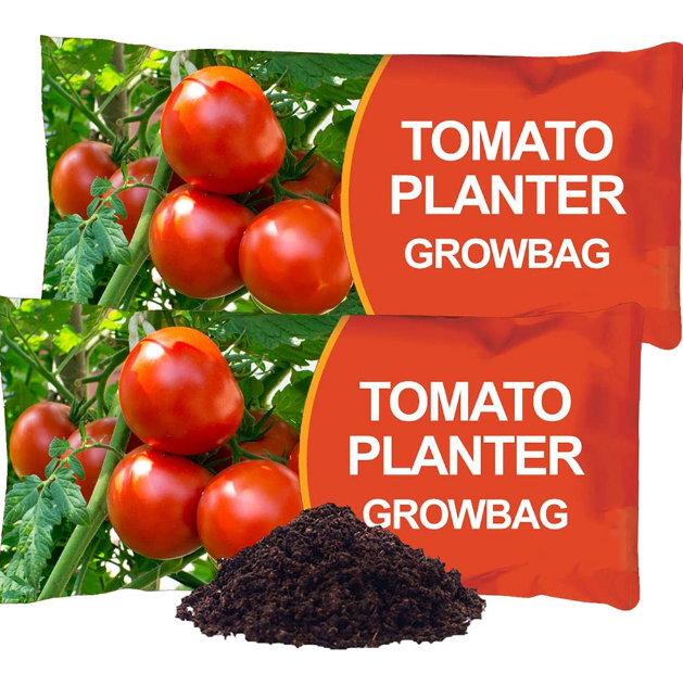 The Secret Life of House Plant Compost: Unveiling Nature’s Best-Kept ...