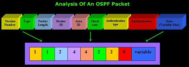 Open Shortest Path First. OSPF (Open Shortest Path First) | by Krithika ...