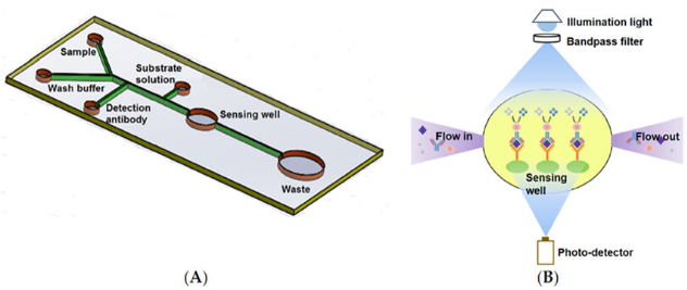 Syn Bio — p.18: Biosensors and Reporter Genes (Design and Use of ...
