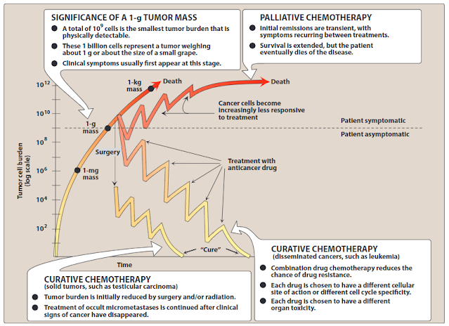 Cancer Treatment strategies. 1. Cancer Treatment Goals: | by ...