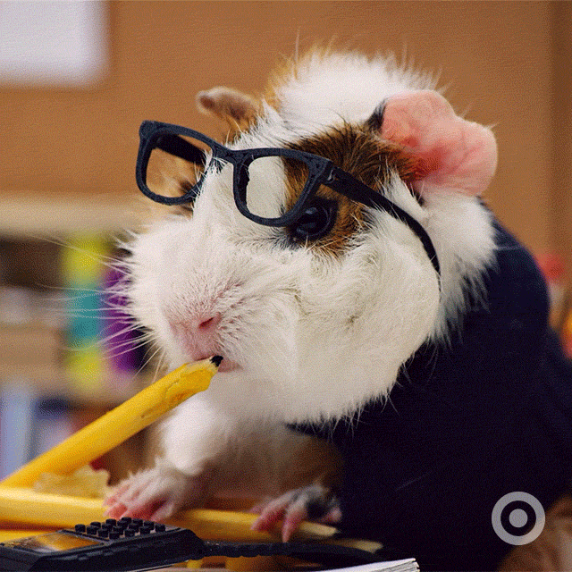 My thoughts on the Quantic EMBA. I’m currently pursuing an Executive ...
