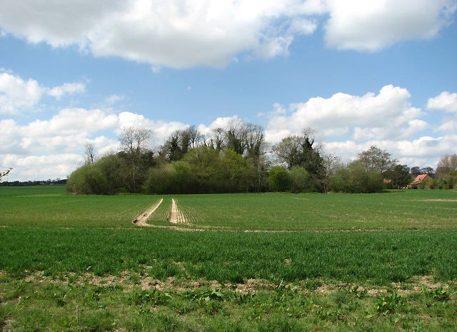 Margaret Paston: A 15th-century Englishwoman Made Famous By Her Letters ...