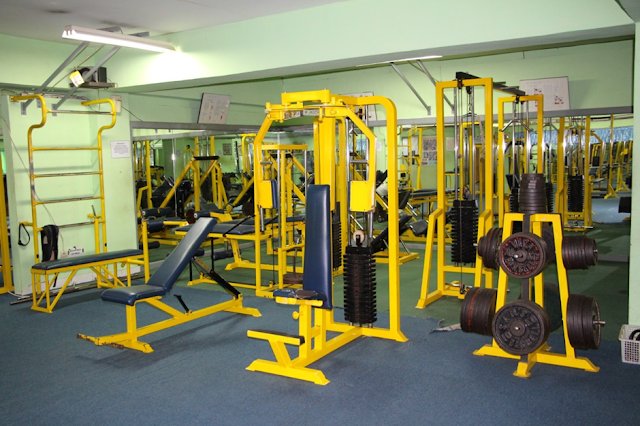 My Gym Journey as an Introverted College Student: Beginner Tips and ...