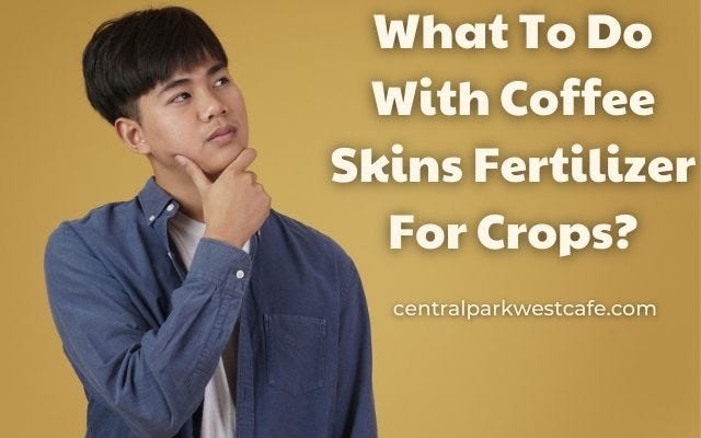 How To Use Coffee Chaff In The Garden? Grounds & Beans | by cpwestcafe ...