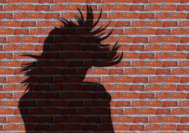 2021 | The Year of Surrender — How To Tame Your Feral Shadow — Entry 3 ...