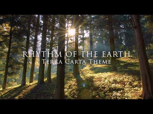Rhythm of the Earth. A poem about our eternal rhythm of the… | by Inna ...