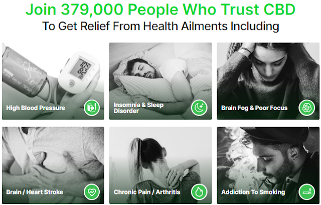 Dana Perino CBD Gummies: A Comprehensive Guide | by Health Digital ...