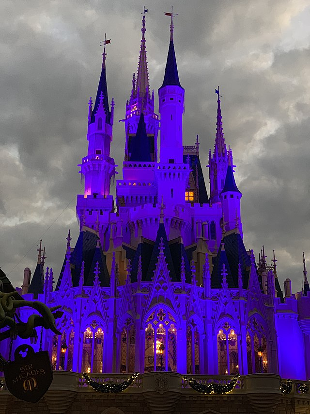 Boy Died After Contracting Brain-Eating Disease at Disney + Odd Deaths ...