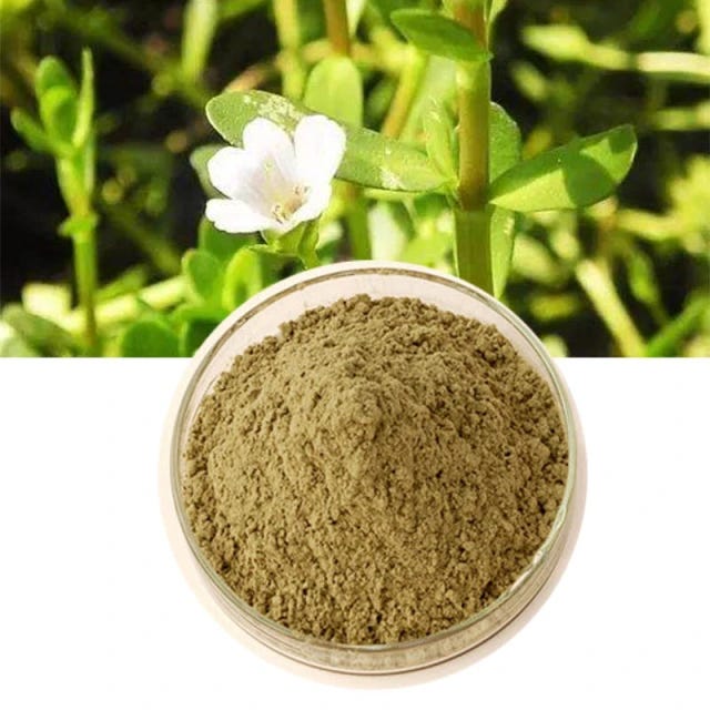 Why Choose Bacopa Monnieri Powder for Your Wellness Routine | by Adam B ...