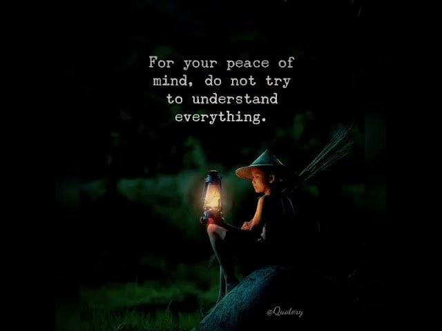 For your peace of mind, do not try to understand everything. | by ...