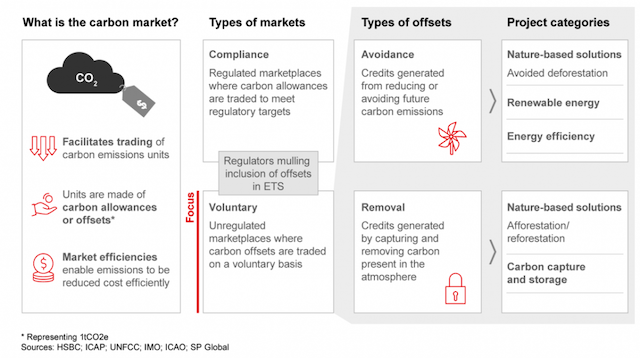 How does the carbon market work?. Just like any other financial markets ...