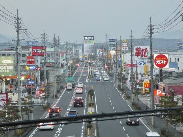 Exploring “Fast-Scenery”: Unveiling the Homogeneity of Japanese ...