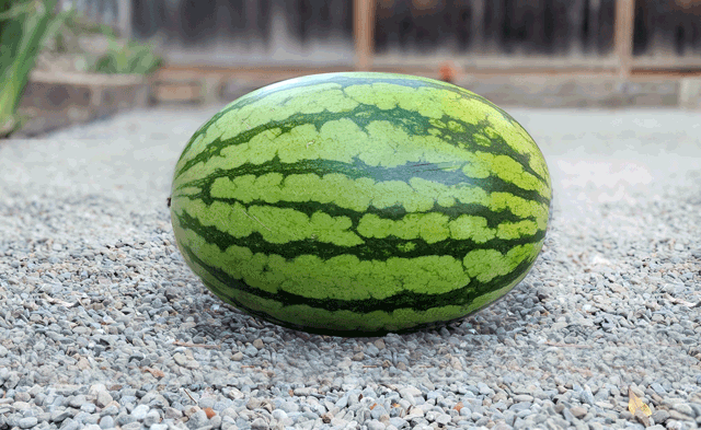 Introducing the Model Optimization Toolkit for TensorFlow | by TensorFlow | TensorFlow | Medium