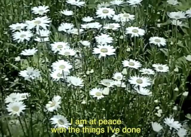 Exonerated. I am at peace with the things I’ve… | by alaina | iPoetry ...