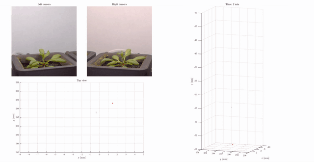 The mystery of plant nutations: Is mathematics of any help? | by ...