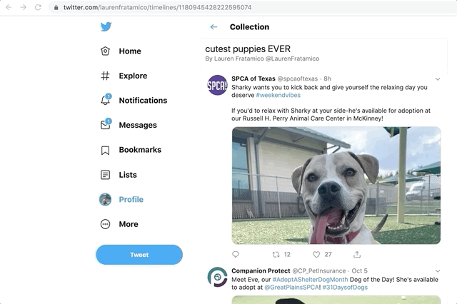 Creating a Twitter Collection via API | by Lauren Fratamico | Medium