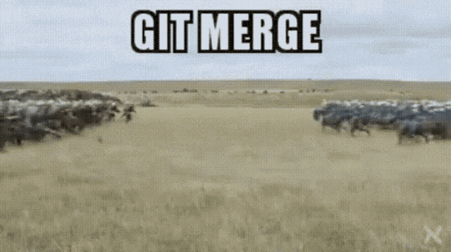 Auto Sync With Master Branch - Phelix - Medium