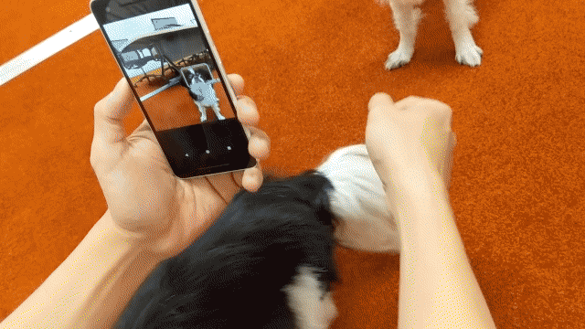 Training and serving a realtime mobile object detector in 30 minutes ...
