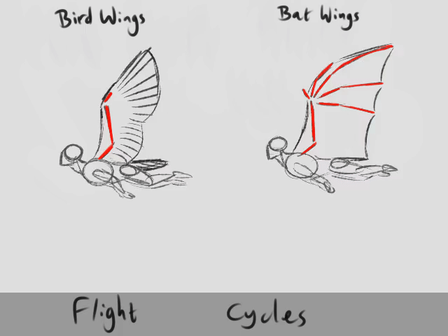 Flight Animation - Ava M Gale - Medium