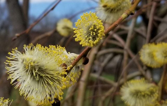 How to Choose Healthier Product Ingredients | Medium