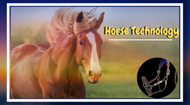 Grab the Horse Technology and Provide Your Horse a Special Protection ...