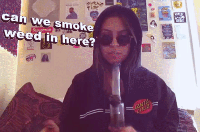 How to Get High at Home Without Anyone Noticing | by Holly Alvarado ...