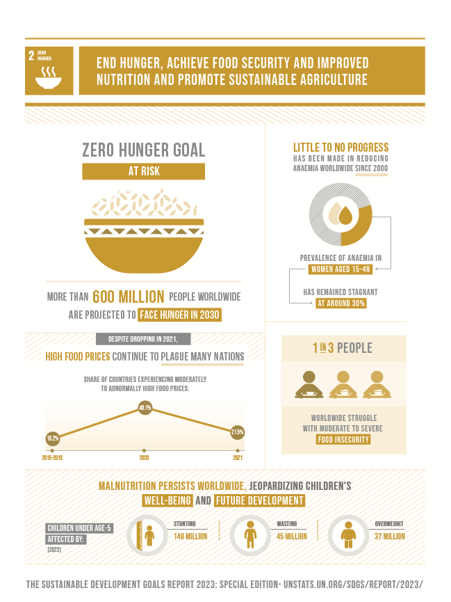 Research Project: Addressing Sustainable Development Goal 2 — Combating ...