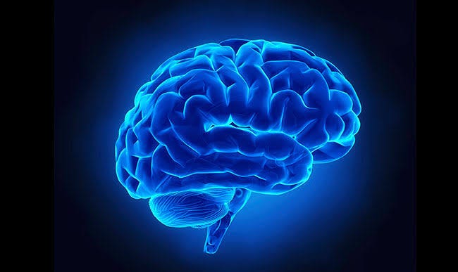 Blue Brain. Blue Brain Project is a Swiss brain… | by Ridham Dudhat ...