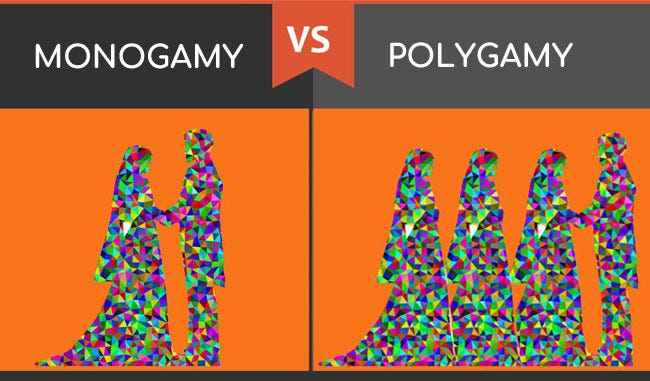 Are Humans Naturally Monogamous?. Youtube Link | by Poyang Huang | Medium