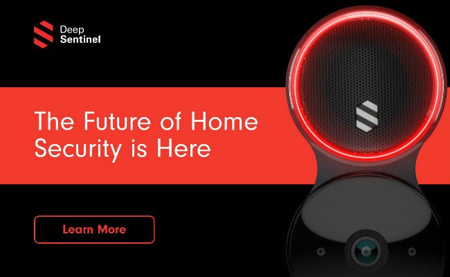 Is Deep Sentinel Worth It? Assessing the Value of AI-Powered Home ...