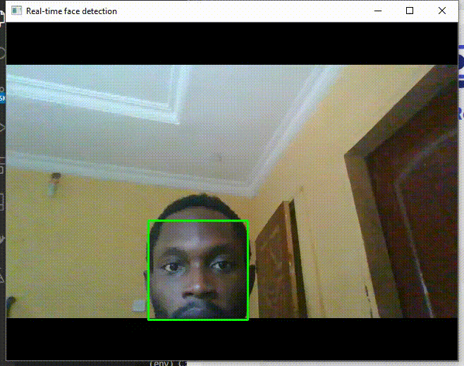 A Guide to Face Detection with OpenCV in Python | by David Oluyale | Medium