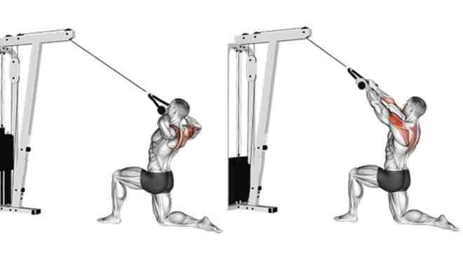 5 Best Rear Delt Fly Alternatives | by FIT LIFE REGIME | Medium