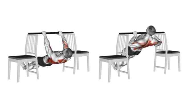 Chest Supported Row Alternatives. Let’s look at the best chest ...