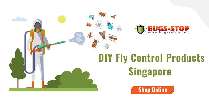 How to Choose Eco-Friendly Fly Control Products in Singapore | by ...