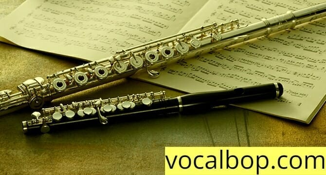 Flute and piccolo are musical instruments that | by Kauser | Medium