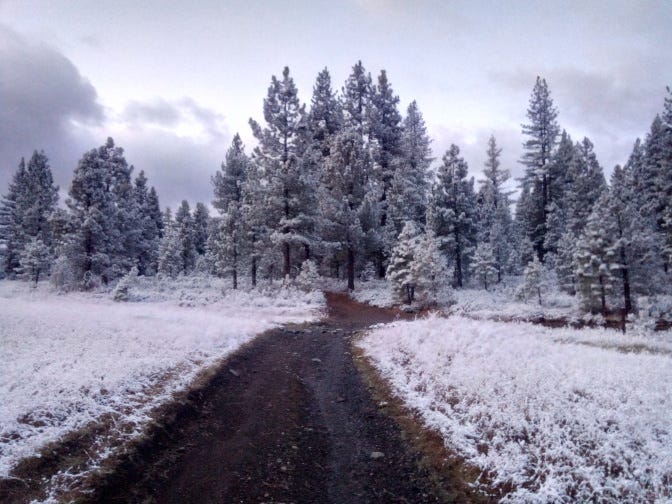 A Winters Tale Begins. A Winters Tale Begins | by Andrew Blash | Medium