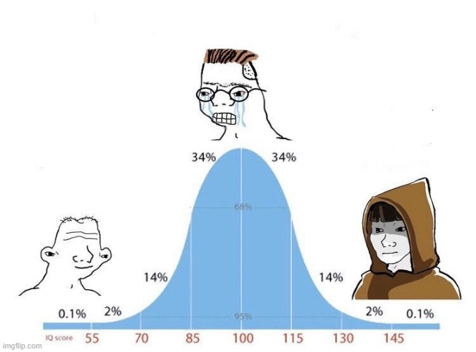 The IQ Bell Curve Meme, Explained | by STRSTF | Jan, 2024 | Medium