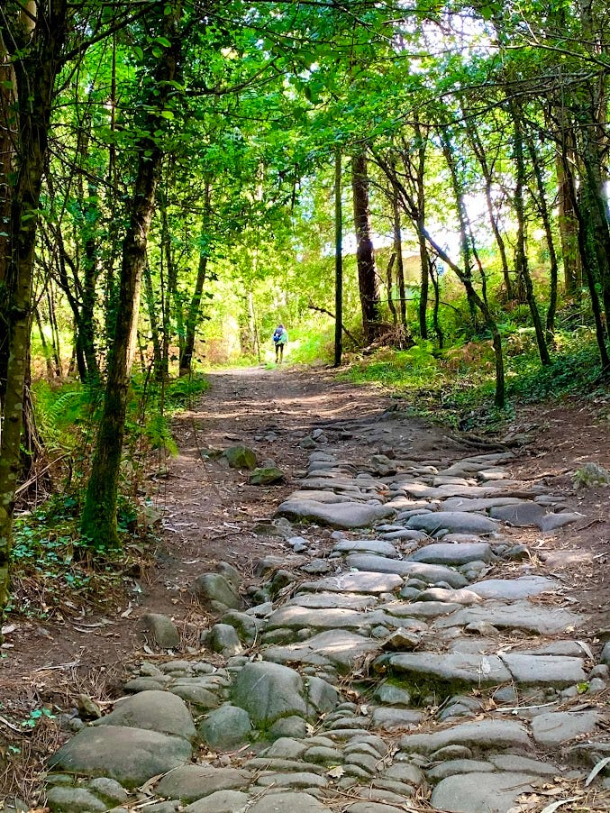 Walking with awareness. On one of my walks on the Camino de… | by Reino ...