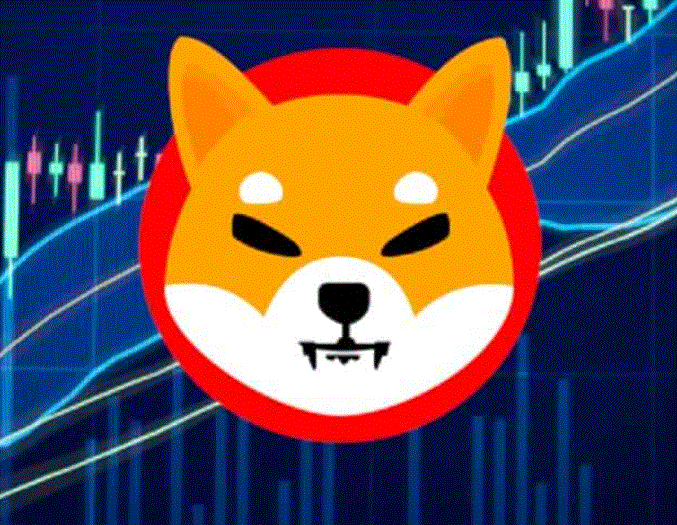 Analyzing the SHIBUSDT Surge: Understanding Shibcoin Tether Dynamics ...