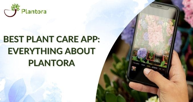 Best Plant Care App: Everything About Plantora | by PlantoraApp | Medium